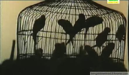 Charachar (Buddhadev Dasgupta) 1993 – Indiancine.ma